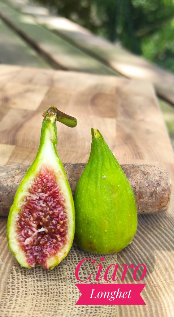 Fico “Ciaro Longhet” – Kefiko